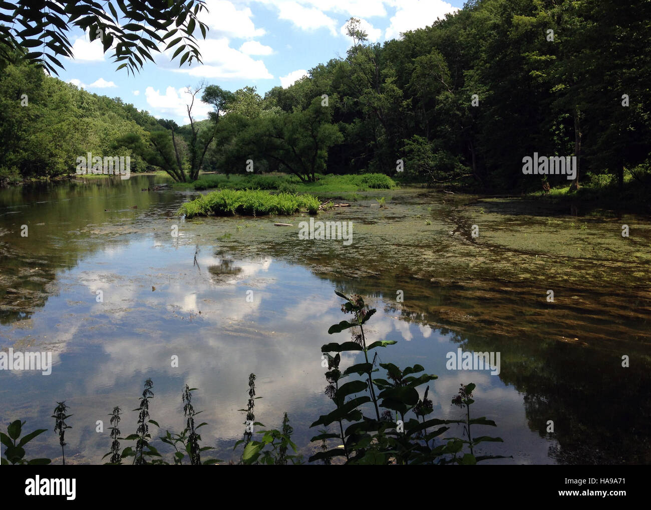 The Musconetcong River near Hughesville is a site of environmental ...