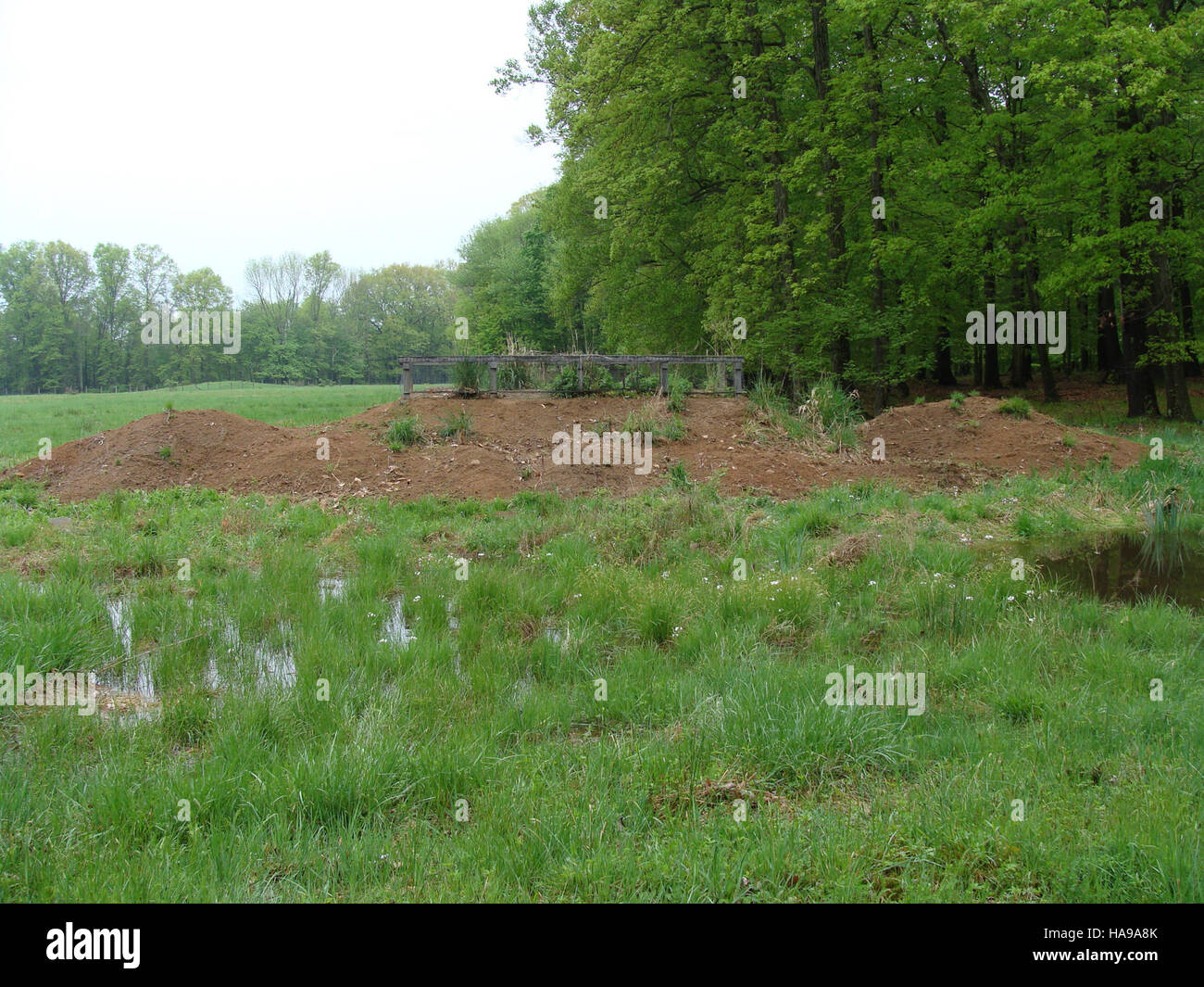 A wood turtle artificial nest mound was established at Great Swamp ...