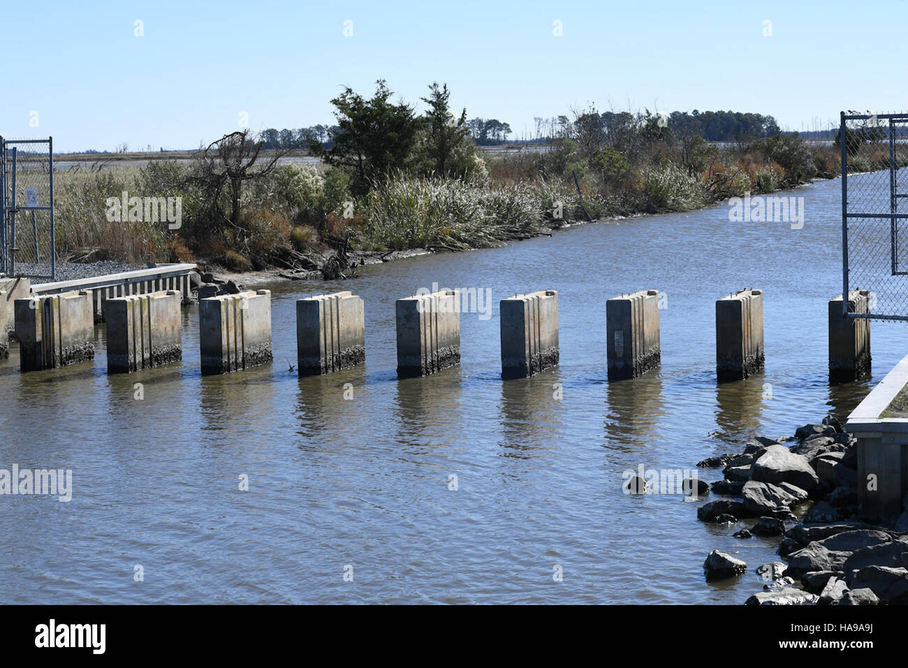 A series of images from USFWS Northeast highlight various conservation ...