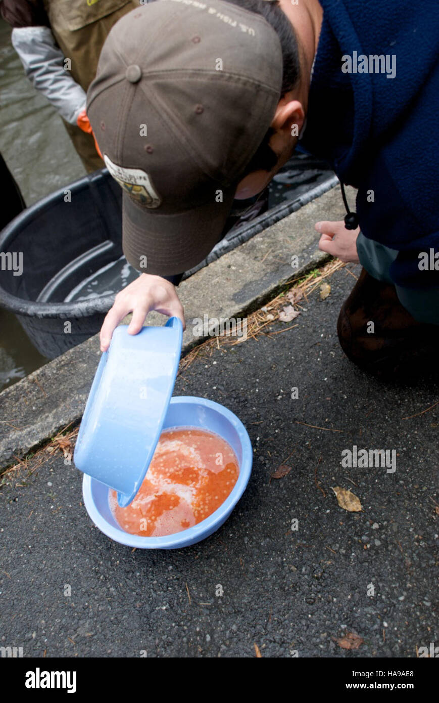 The image depicts Richard Cronin at the National Salmon Station within ...