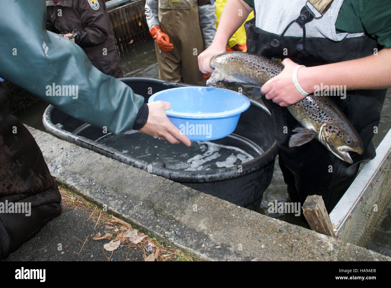 The Richard Cronin National Salmon Station focuses on the restoration ...