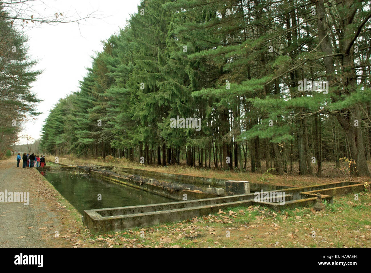 The Natural Bottom Raceway, located in a protected national park ...