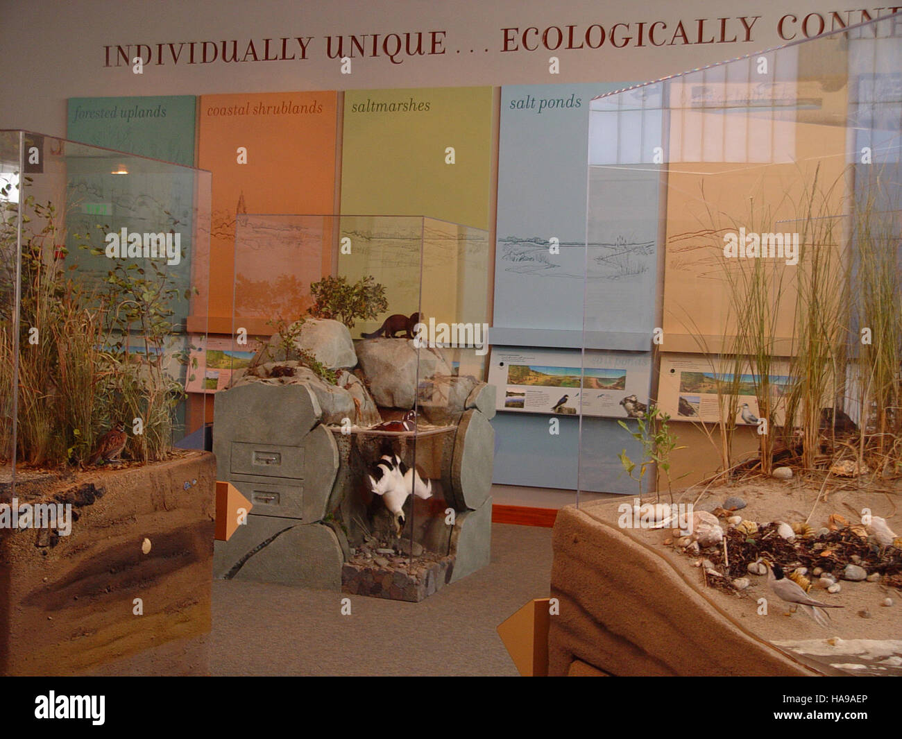 The Kettle Pond Visitor Center, located in a national park in the ...