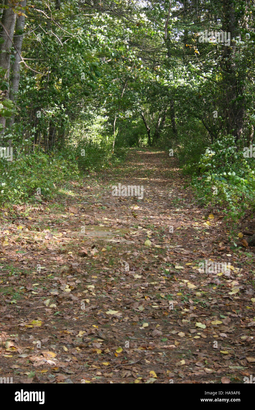 Ferry Way Trail within a National Park in the Northeast offers visitors ...
