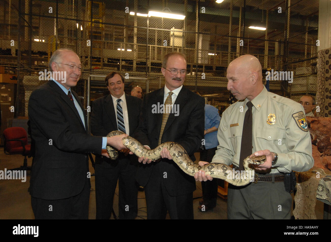 Department of the Interior employees safely handle a boa constrictor at ...