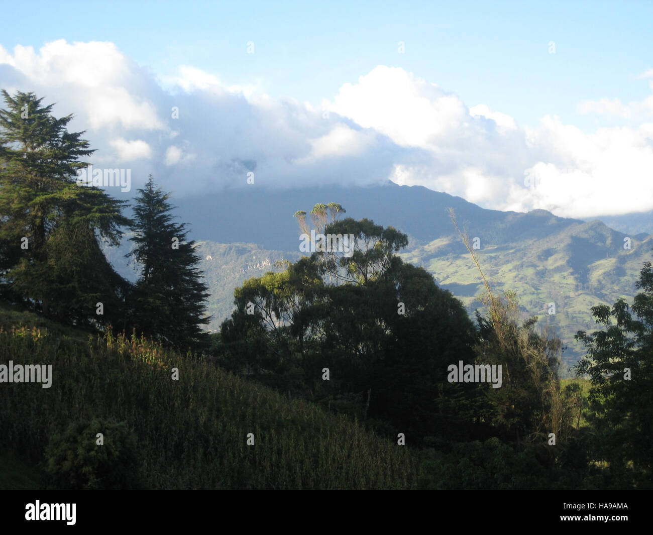 The U.S. Fish and Wildlife Service supports wildlife conservation ...