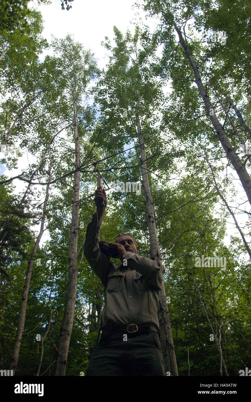 Telemetry technology is used to track wildlife movements in a national ...