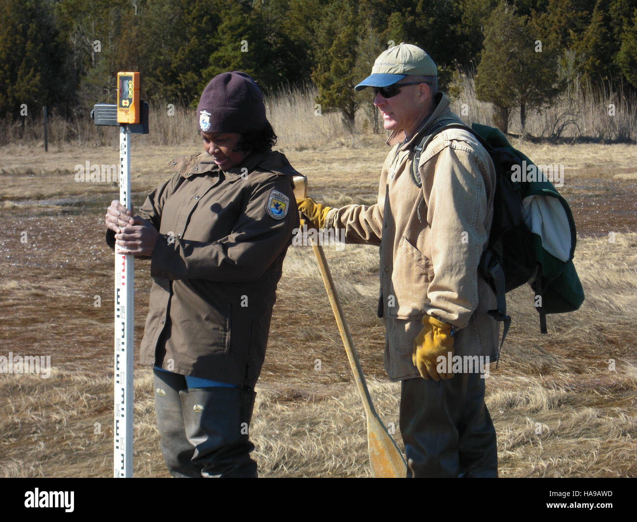 Fieldwork in salt marshes focuses on studying tidal wetlands, their ...