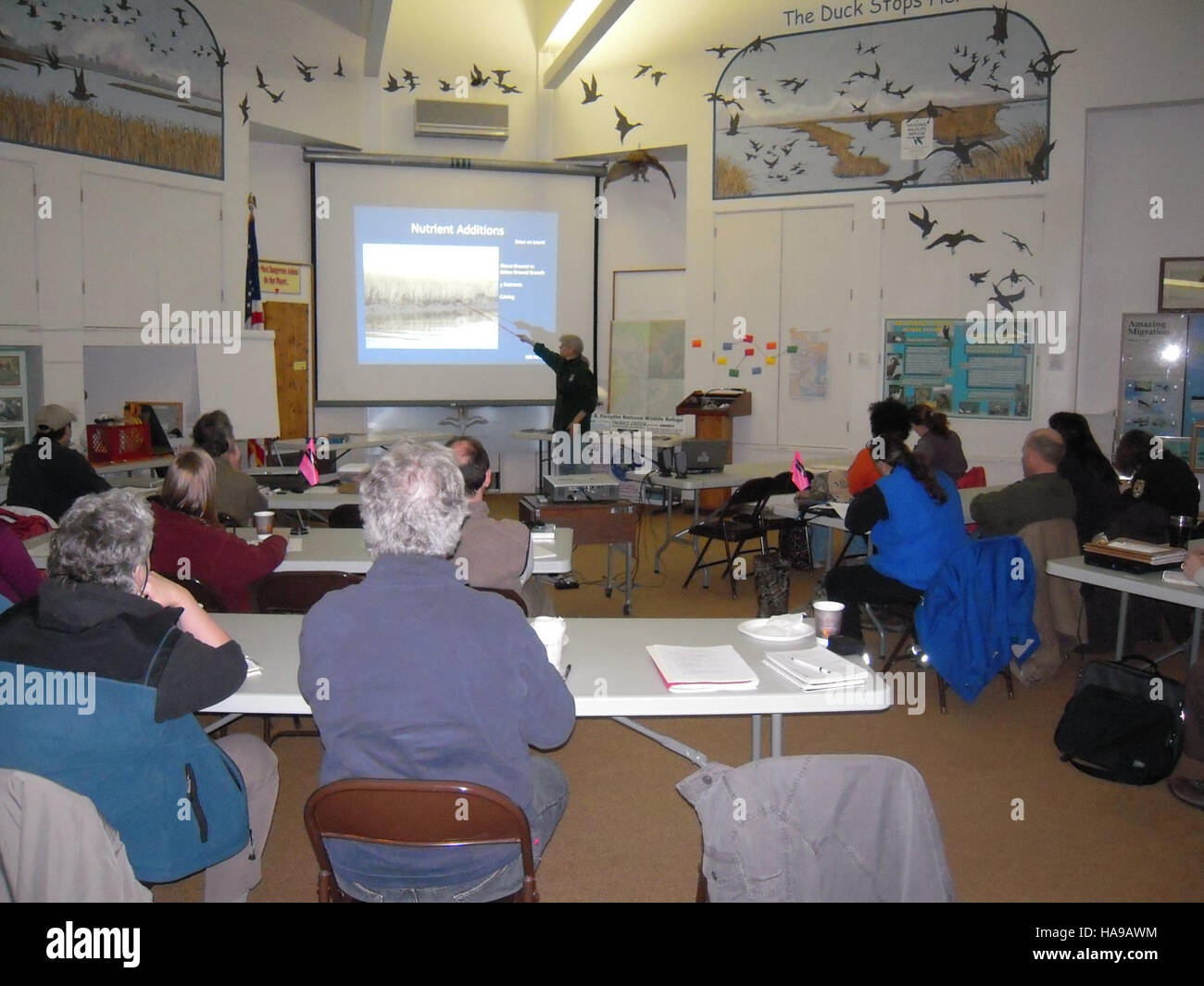 A Salt Marsh workshop held at a National Park focuses on the importance of coastal ecosystems ...