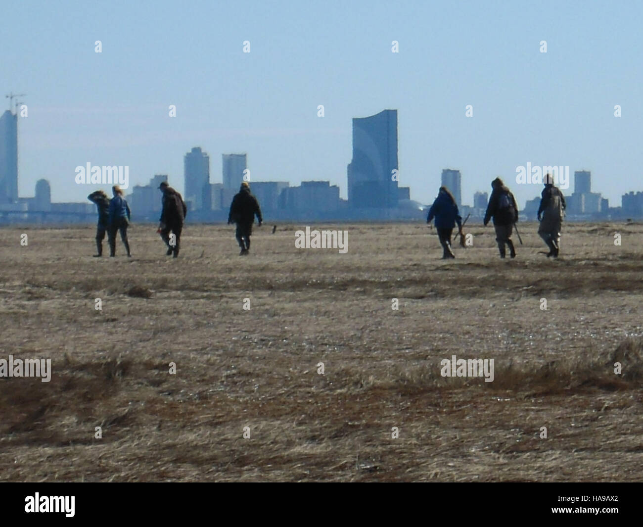 Fieldwork in the salt marsh ecosystem focuses on biodiversity ...
