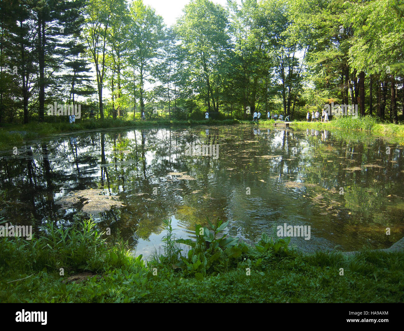 A hatchery pond within the National Park serves as a critical habitat ...