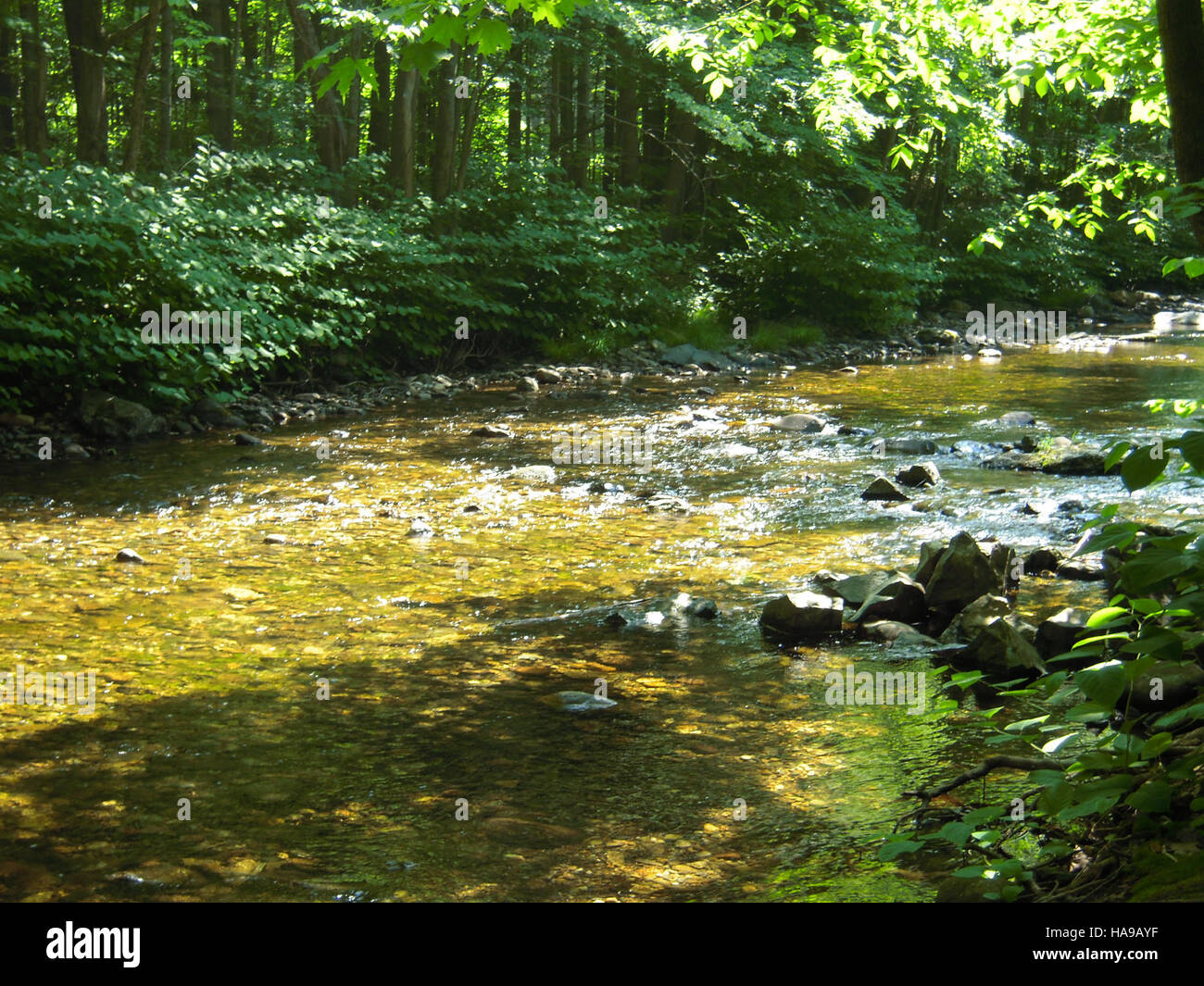The Saw Mill River in a national park represents a critical waterway ...