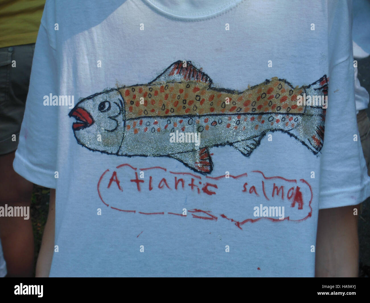 usfwsnortheast 4741805569 Student-made Atlantic salmon T-shirts Stock ...