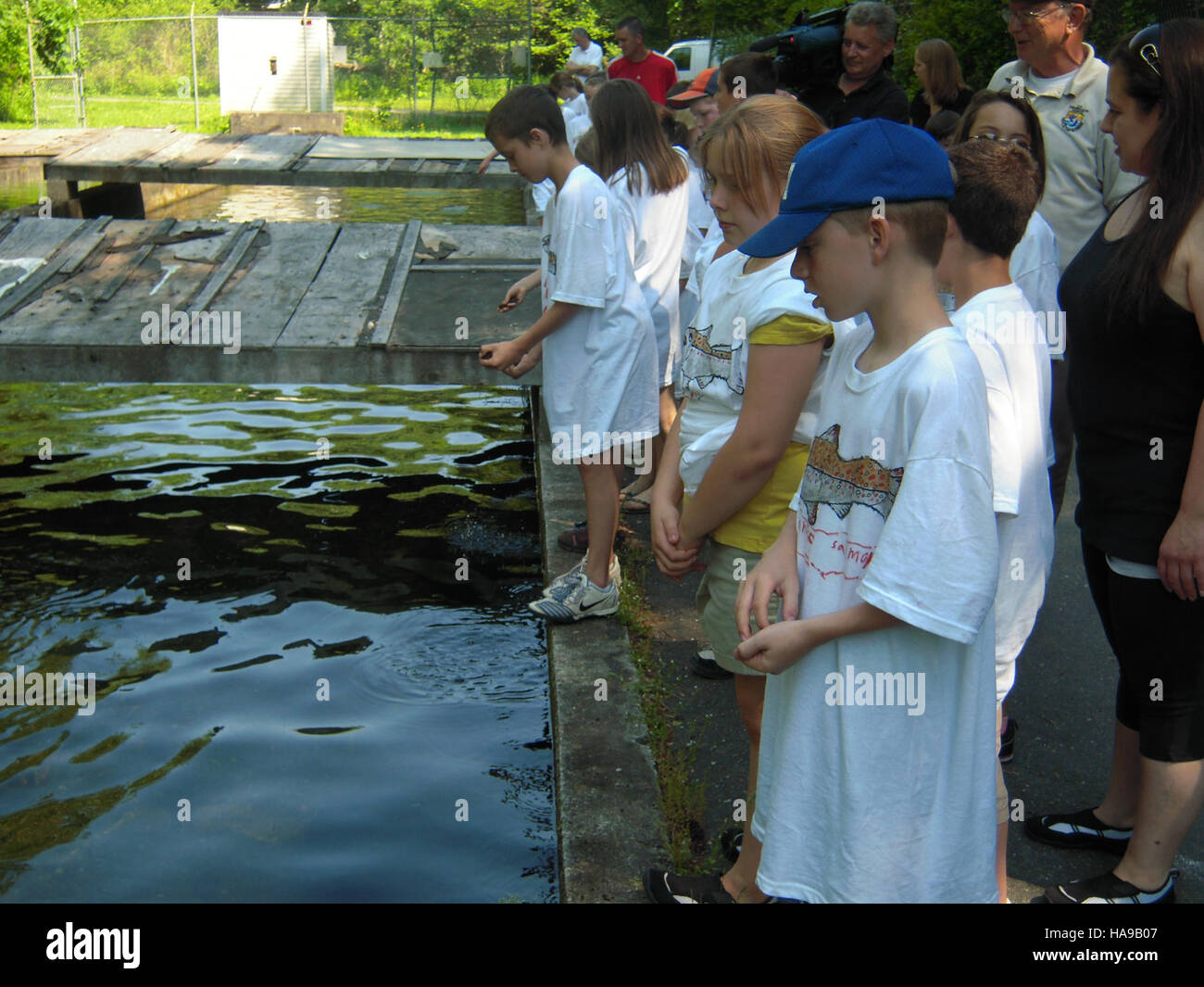 This image depicts fish being fed in a national park, highlighting ...