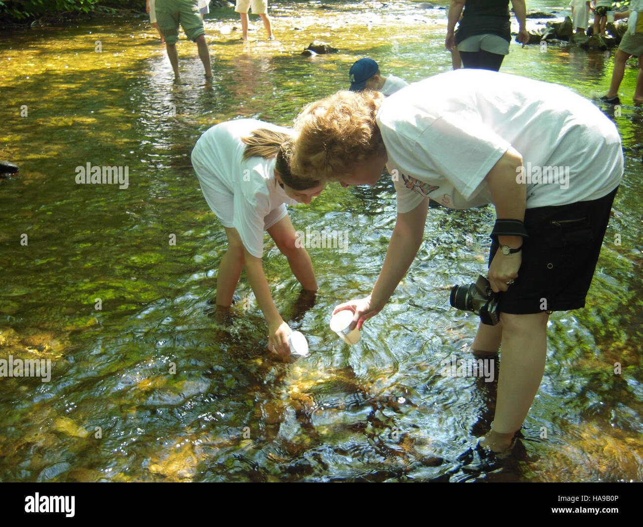usfwsnortheast 4742443806 Teacher and student release fry Stock Photo ...