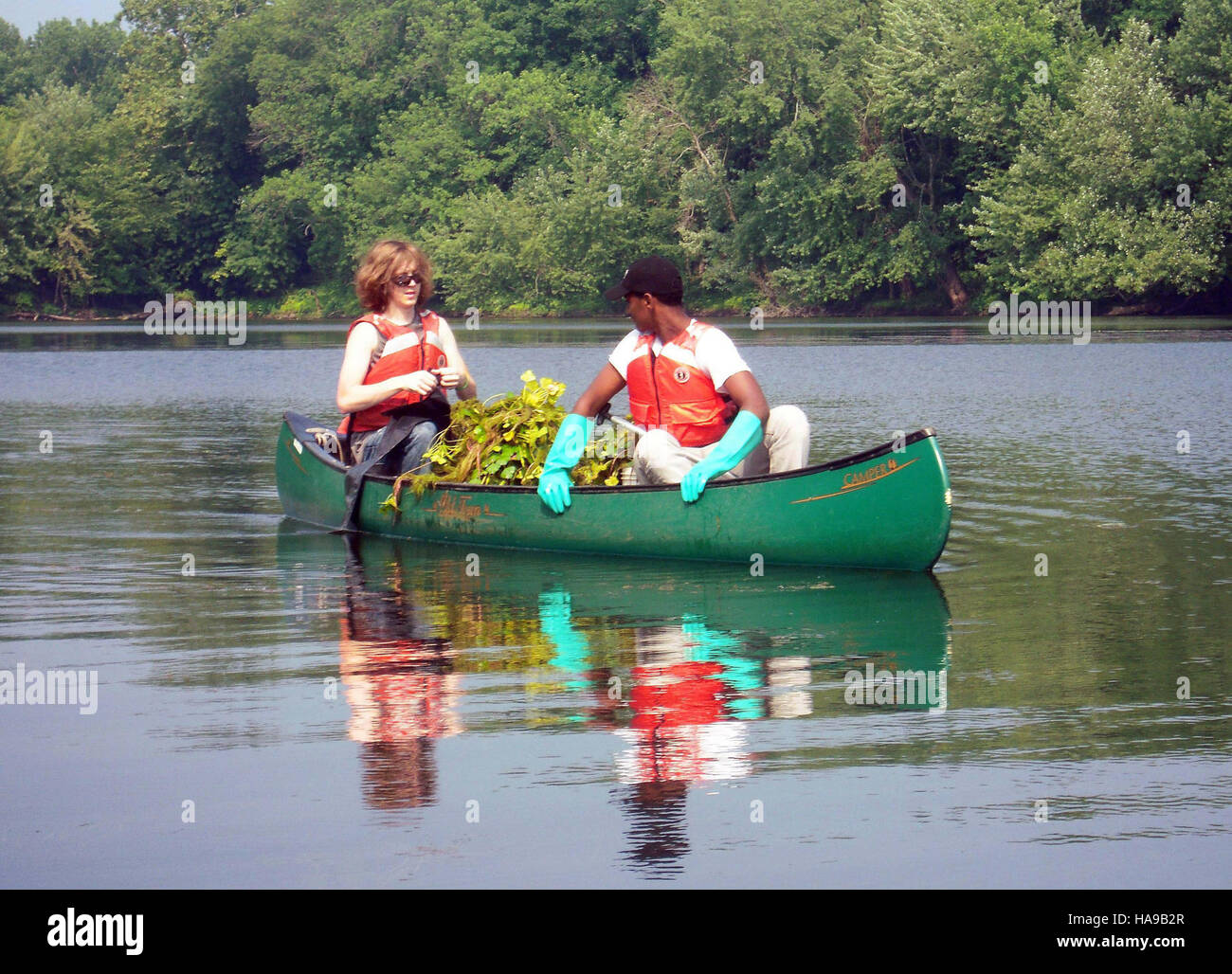 usfwsnortheast 4790531325 YCC crew removing water chestnut Stock Photo ...