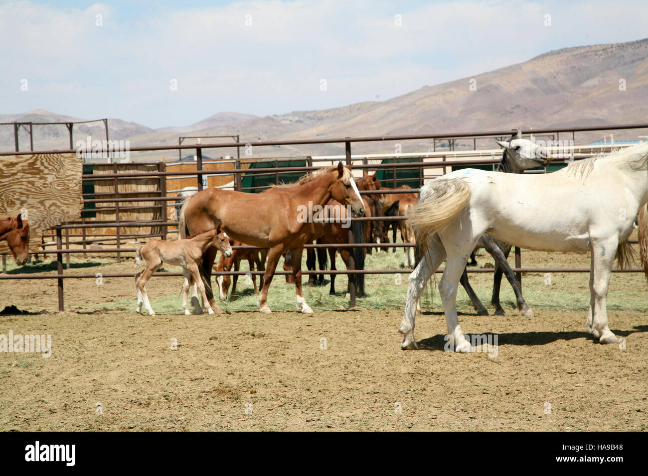 A public tour hosted by the Bureau of Land Management (BLM) at a ...