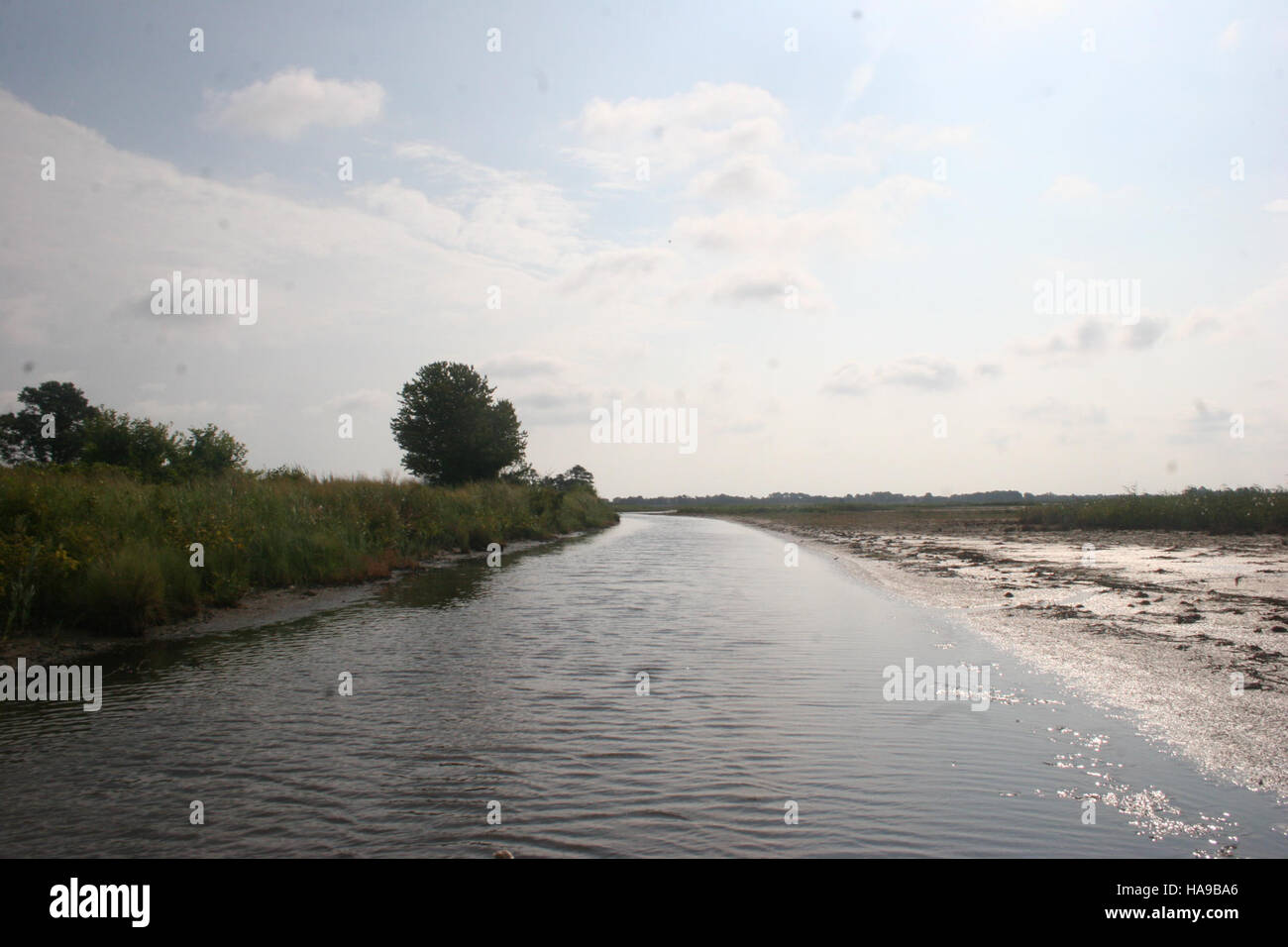 Prime Hook National Wildlife Refuge in Delaware offers diverse habitats ...