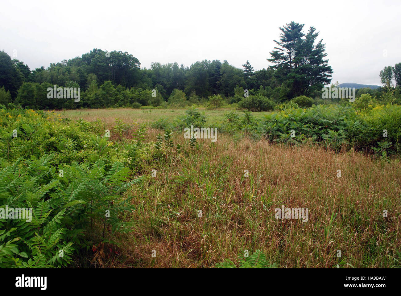 River division hi-res stock photography and images - Alamy
