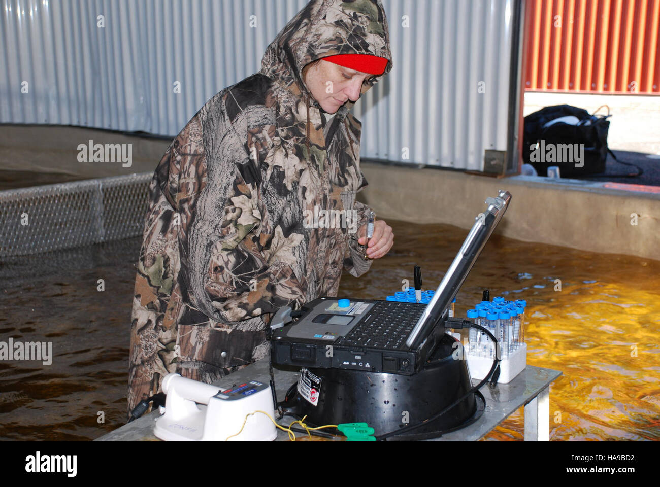 Genomic fish hi-res stock photography and images - Alamy