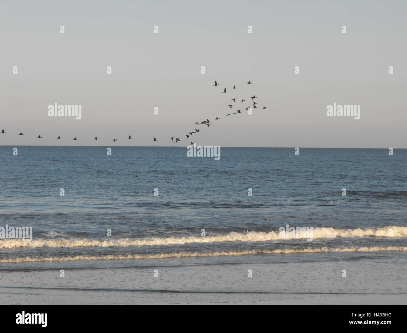 The U.S. Fish and Wildlife Service (USFWS) Northeast Region oversees ...