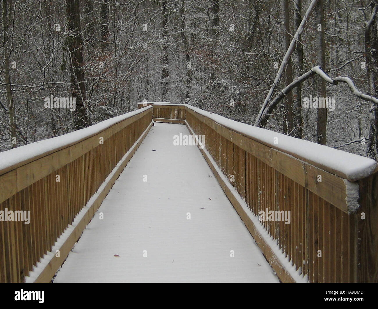 The Washington Ditch Boardwalk, located in a northeastern U.S. National ...