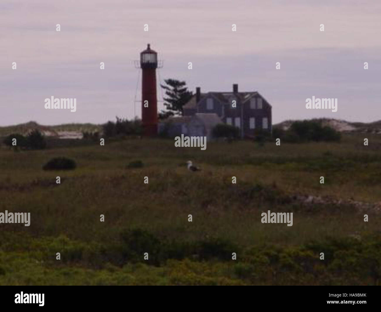 The Northeast Region of the U.S. Fish and Wildlife Service manages a ...