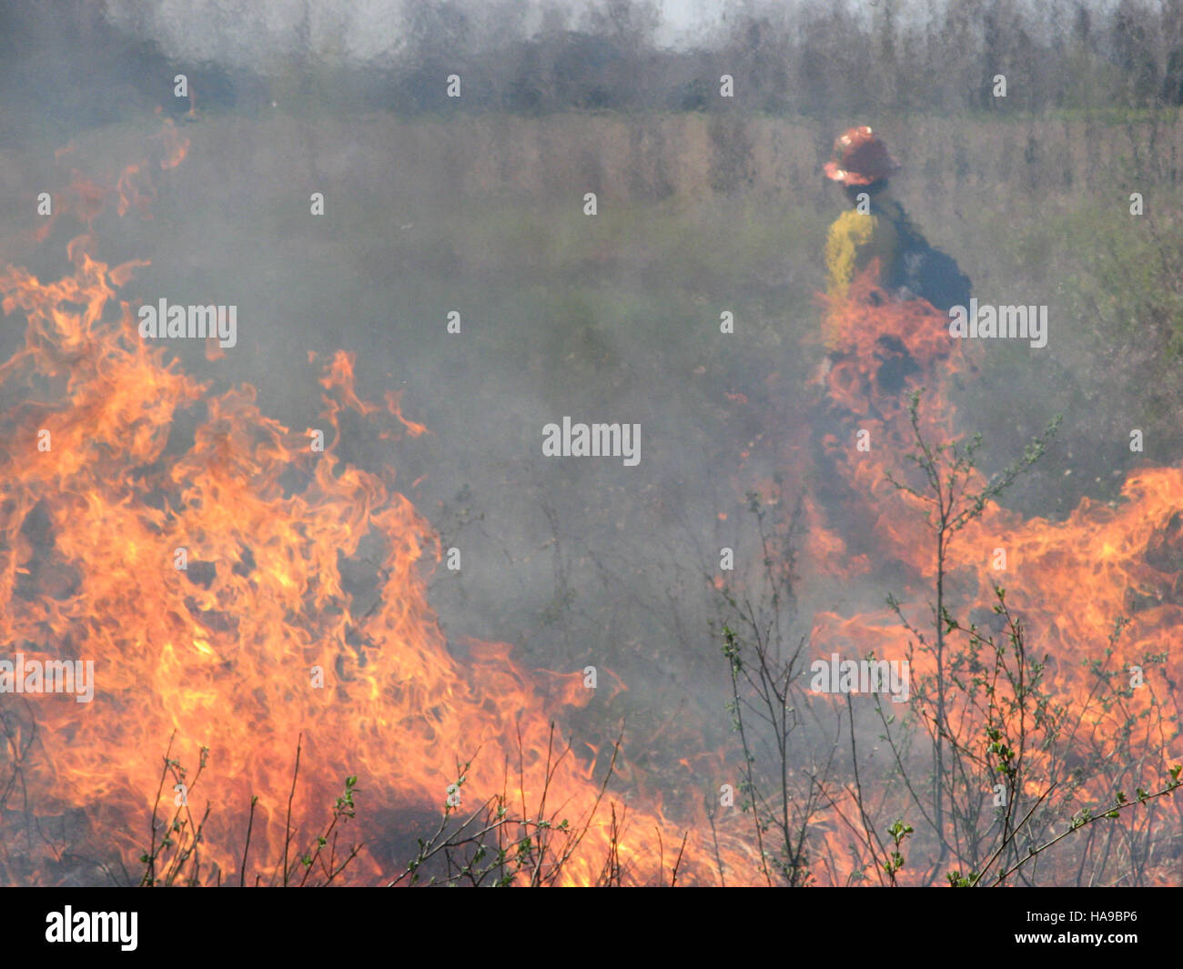 usfwsnortheast 5473917124 Heat waves during an Iroquois National ...