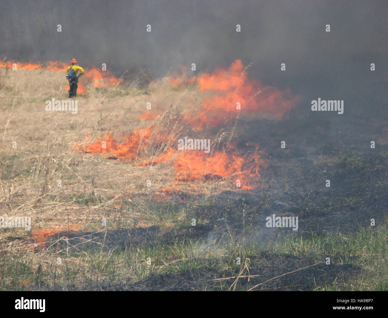 A controlled burn at the Iroquois National Wildlife Refuge to manage ...