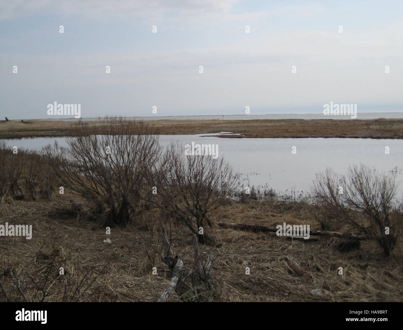 Monomoy hi-res stock photography and images - Alamy