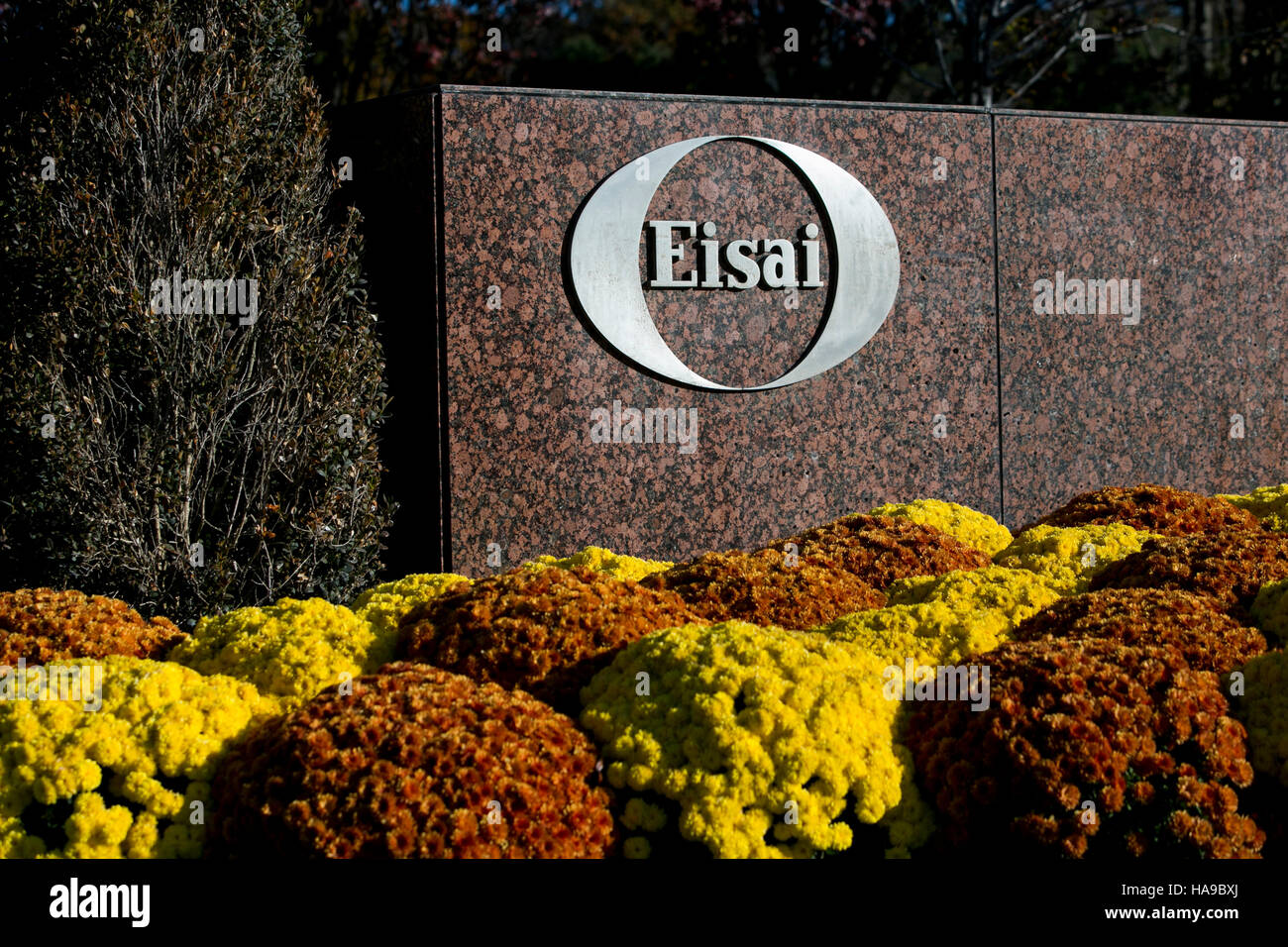 A logo sign outside of a facility occupied by Eisai Pharmaceuticals in ...