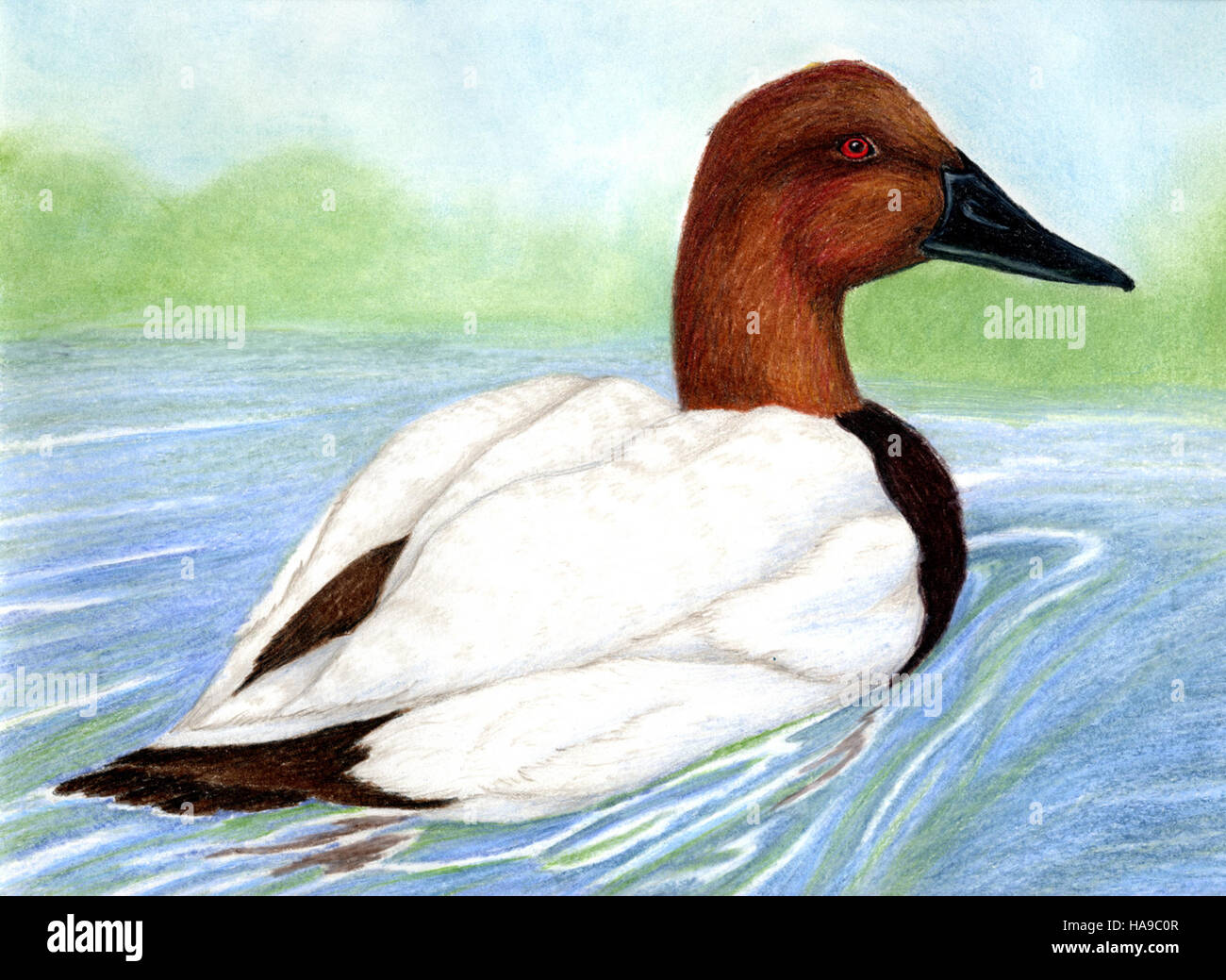 Kentucky National Park features diverse ecosystems and serves as a ...