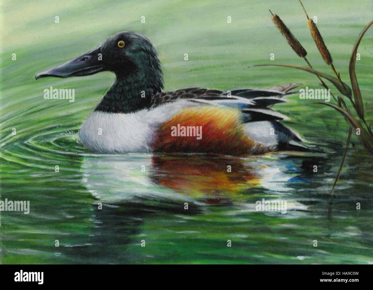 This image shows Maryland National Park, a protected area under the ...