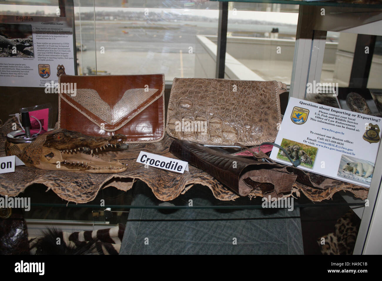 A selection of reptile conservation products offered by the U.S. Fish ...