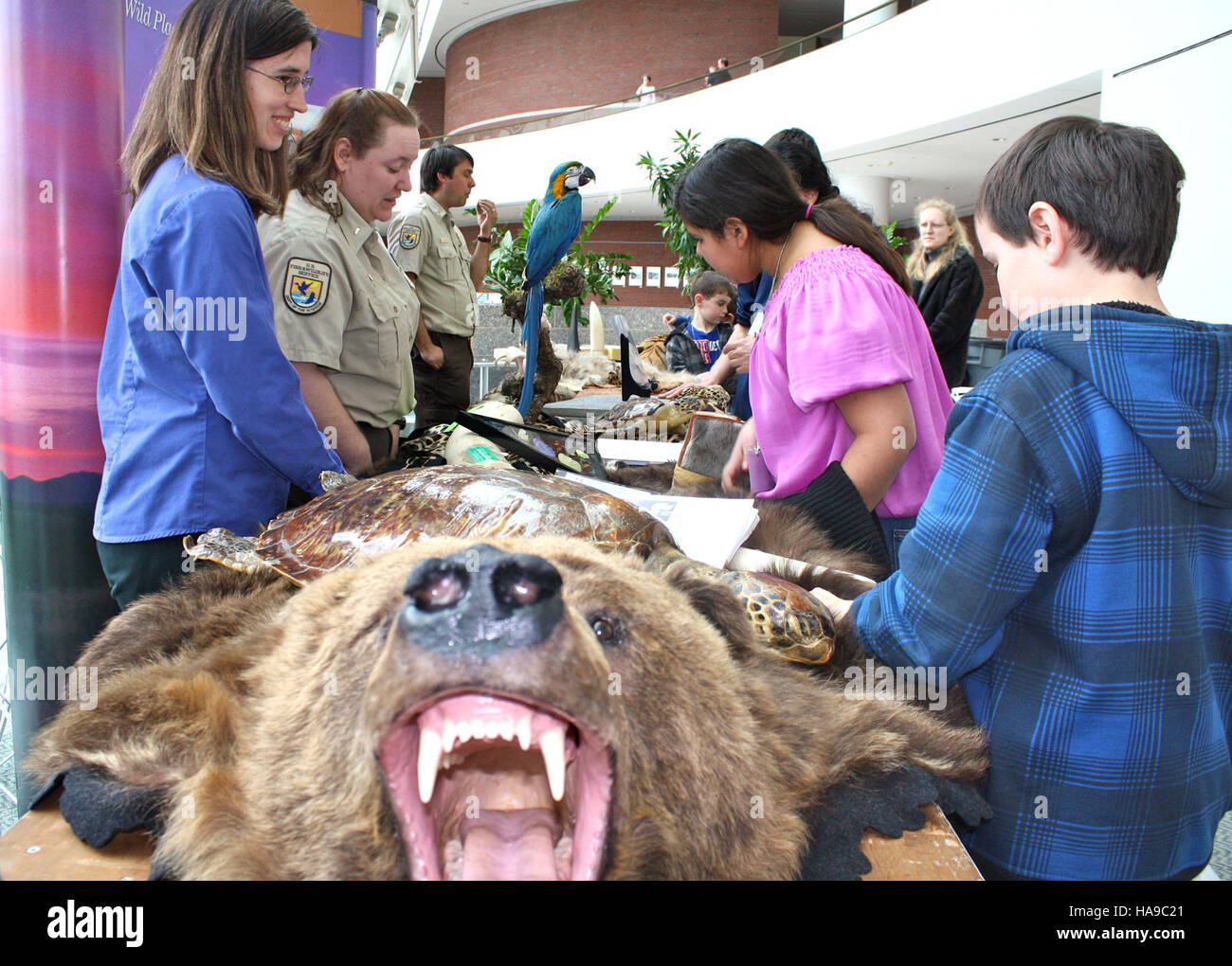 National parks wildlife service hi-res stock photography and images - Alamy