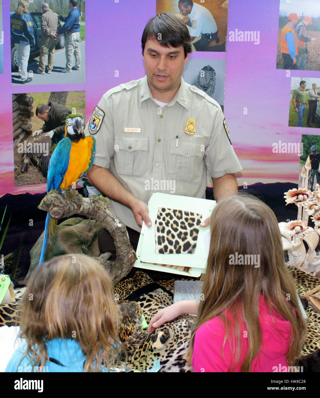 A Wildlife Inspector demonstrates the various furs in a National Park ...