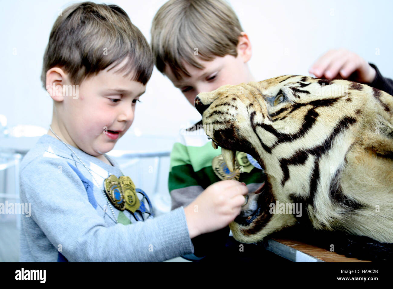 A photo of boys interacting with a tiger in a national park ...