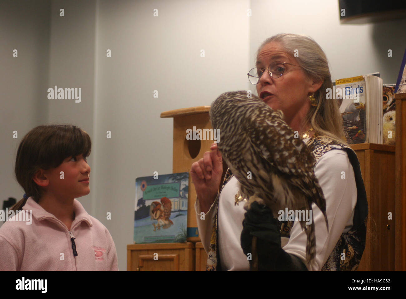 A Great Horned Owl, photographed in a National Park in the U.S ...