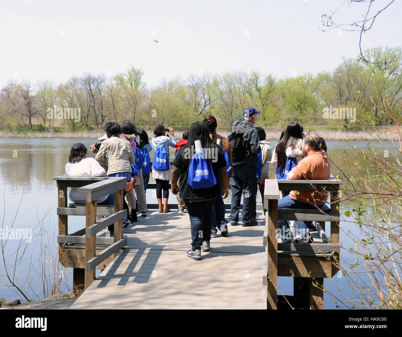 Bird watching in a national park, with diverse species observed in ...