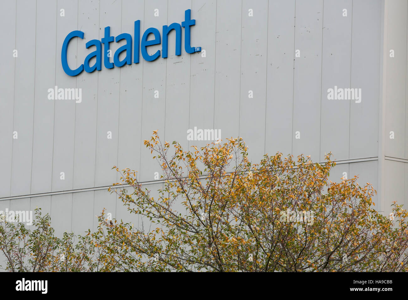 Catalent hi-res stock photography and images - Alamy