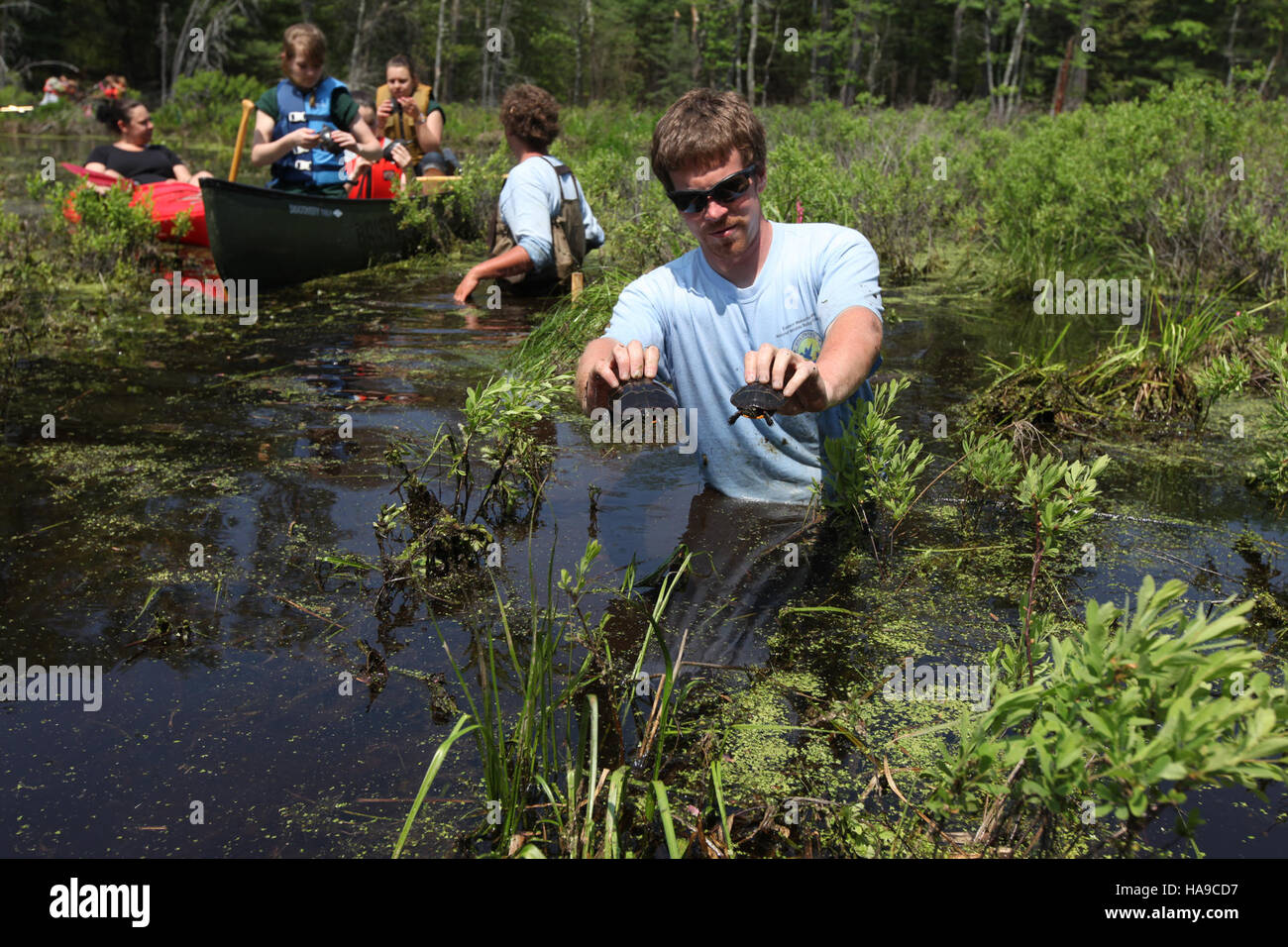 The release of rehabilitated turtles back into their natural habitat is ...