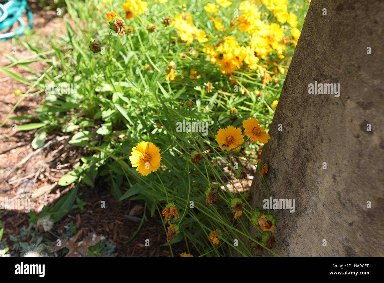 The Pollinator Garden at the U.S. Fish and Wildlife Service's Northeast ...