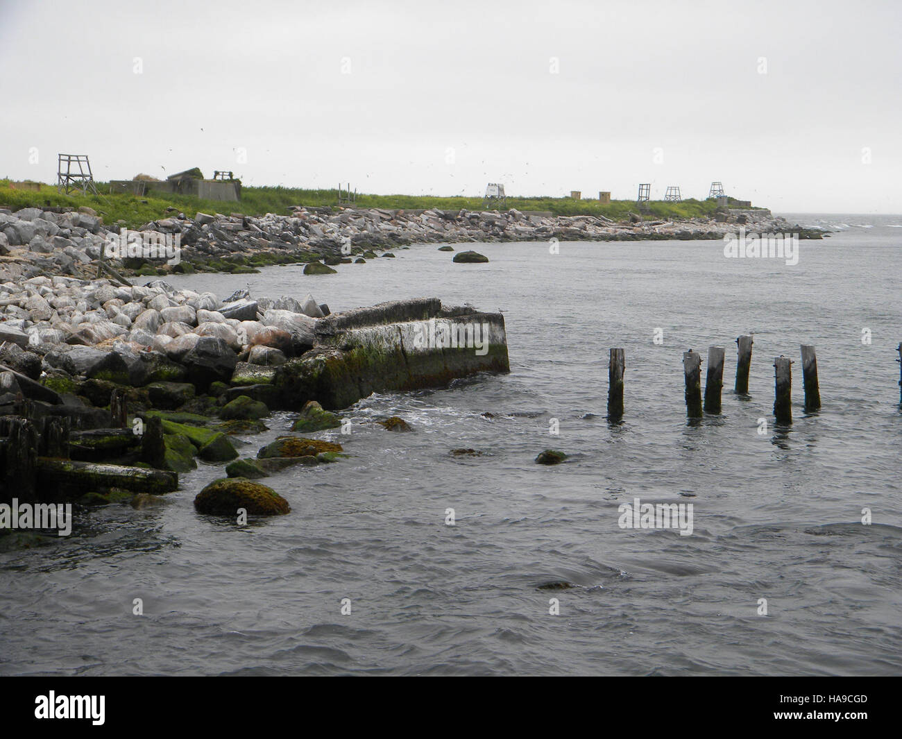 Great Gull Island in New York serves as a key location for bird ...