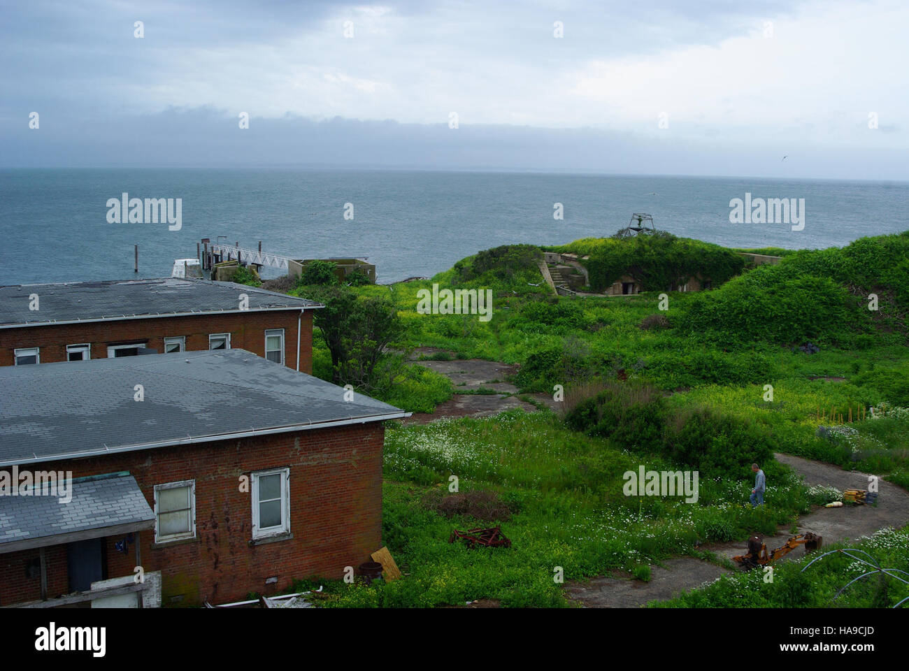 Great Gull Island, located off the coast of New York, is known for its ...