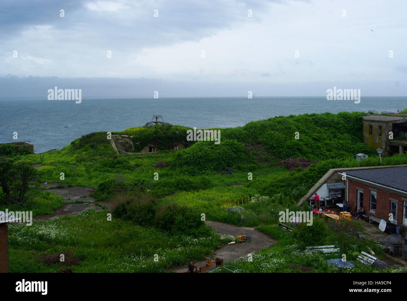 An image of Great Gull Island in New York, managed by the U.S. Fish and ...