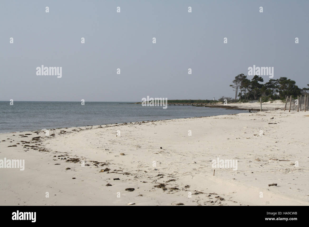 This image shows the Bavon Beach restoration project at a national park ...