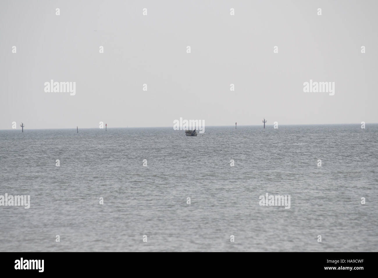 The Bavon Beach project aims to restore coastal habitats in national ...