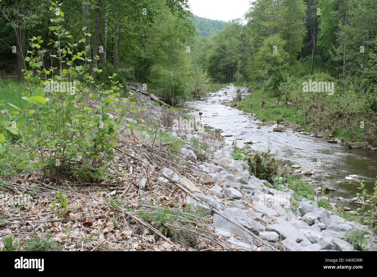 The U.S. Fish and Wildlife Service conducts surveys to monitor the ...