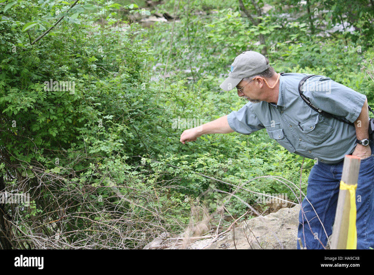 The U.S. Fish and Wildlife Service conducts regular surveys to assess ...