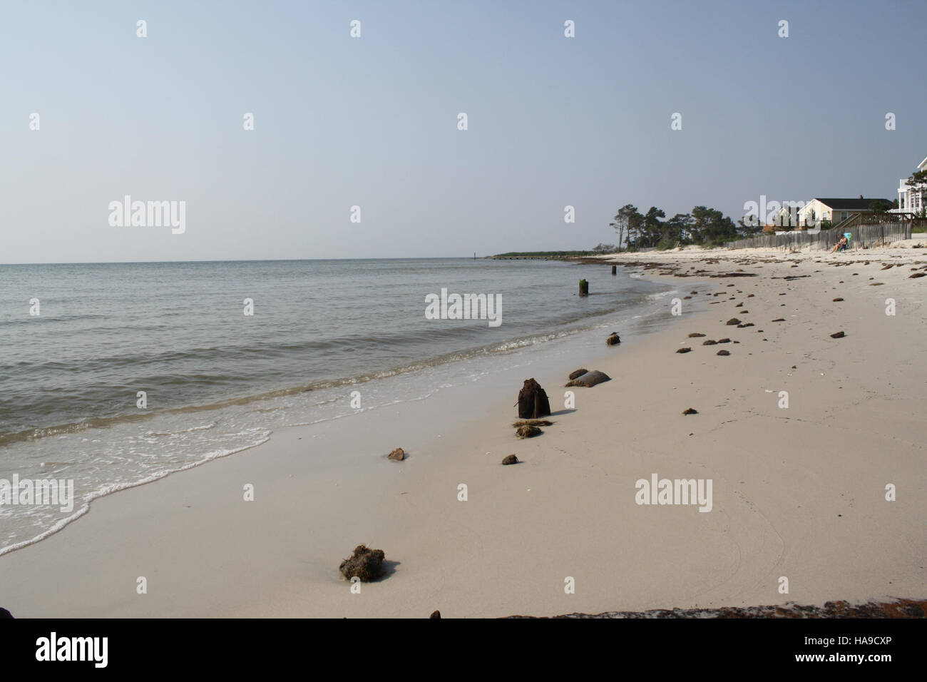 The Bavon Beach project focuses on the preservation of coastal ...